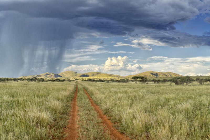 11 Day Kalahari & Cape Town Safari | Biggestleaf Travel